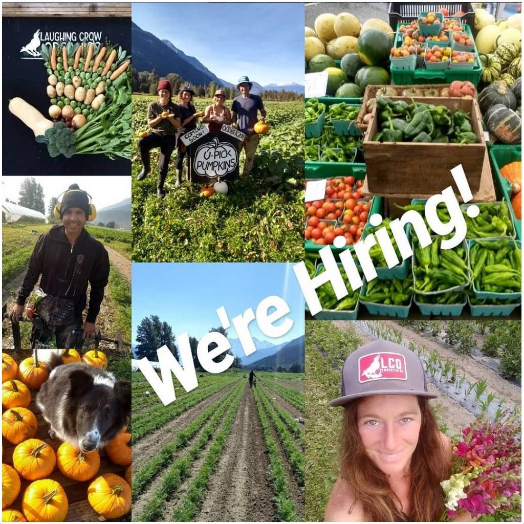 Local Food Jobs | FoodWork.ca